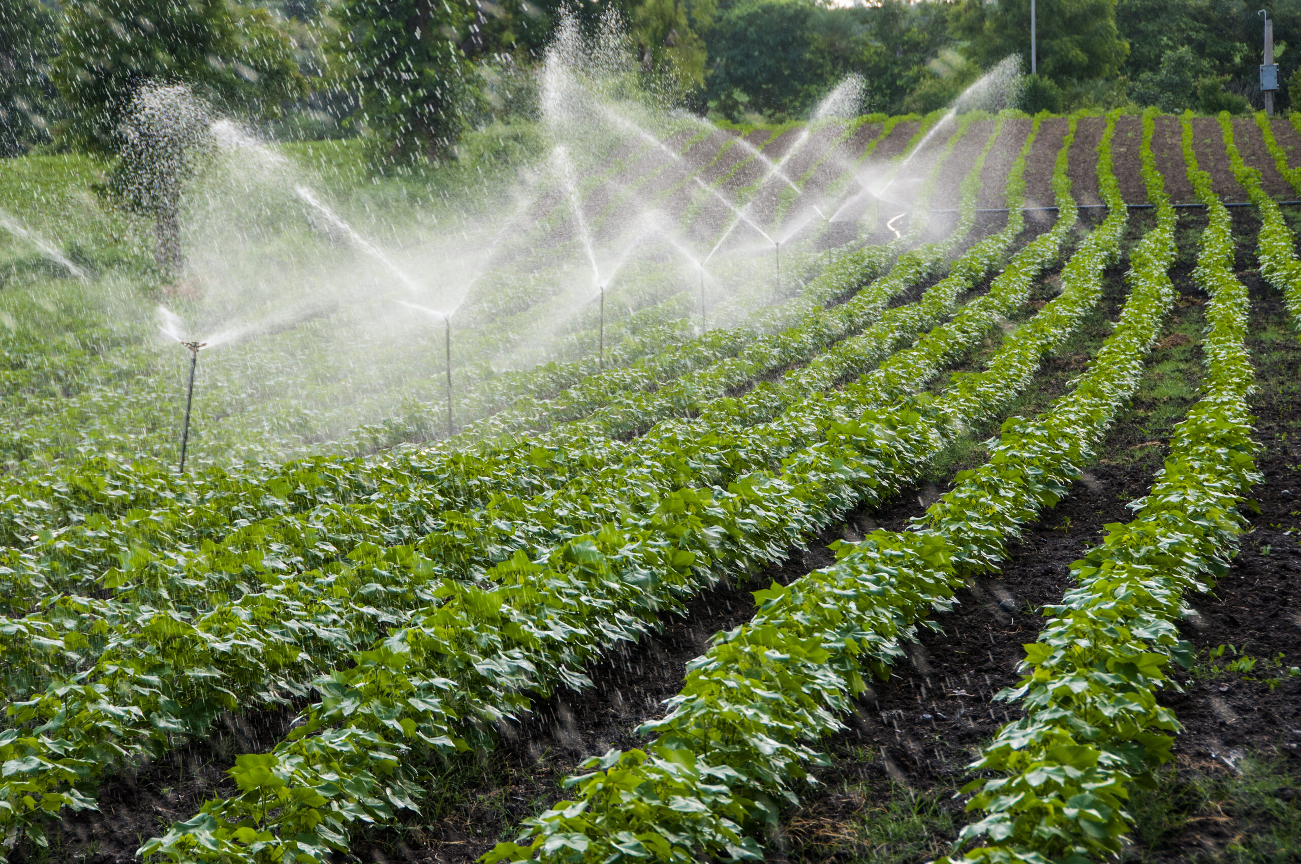 DRINKING WATER PLANT – World Economic, Environmental & Social ...